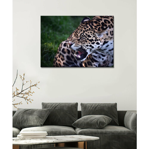 Картина/Ягур/Ягуар в джунглях/Ягуар на дереве/Черный ягуар/ - Ягуар (54) 30х40