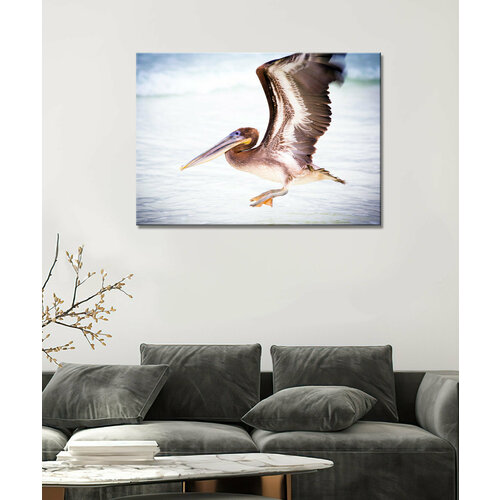 Картина/Пеликан/Пеликаны/Пелекан у моря/Пеликан вблизи/ - Пеликан (8) 20х30
