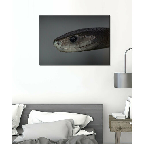 Картина - змея, чёрная мамба, чёрная змея, ядовитая змея, большая змея, кожа змеи (13) 40х60