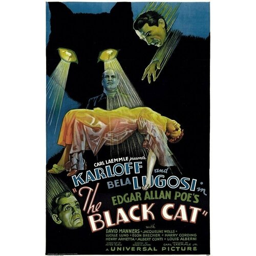 Плакат, постер на бумаге Черный кот (The Black Cat), Эдгар Дж. Улмер. Размер 21 х 30 см