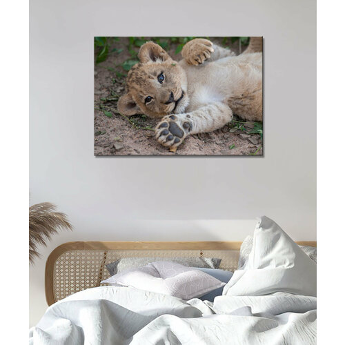 Картина - Львенок, лев хищник, маленький лев, лапки львенка, милый львенок (8) 50х70