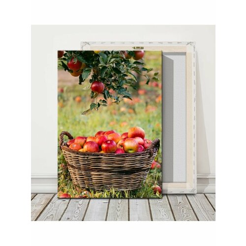 Картина на холсте с подрамником Наливные яблоки 60х80
