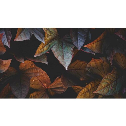 Картина на холсте 60x110 Альянс Лес "Листья растение коричный" на подрамнике / интерьер/ декор