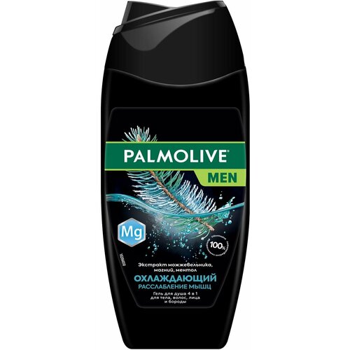 Palmolive / Гель для душа Palmolive Men Охлаждающий Расслабление мышц 4в1 250мл 1 шт