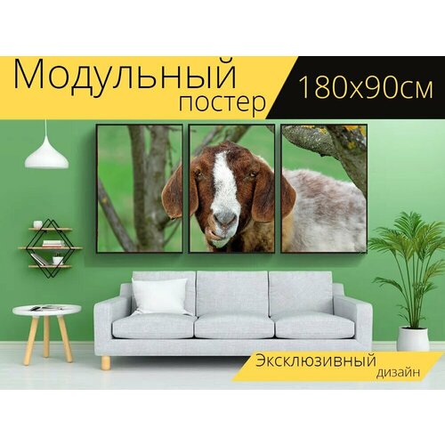 Модульный постер "Козел, животное, домашняя коза" 180 x 90 см. для интерьера