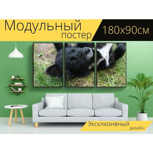 Модульный постер "Собака, черный собака, щенок" 180 x 90 см. для интерьера