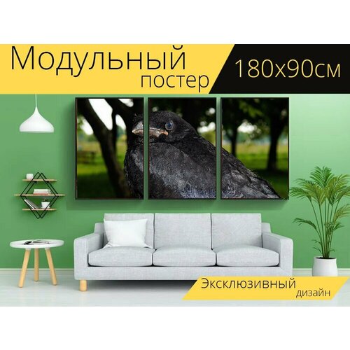 Модульный постер "Ворона, птица, ворон" 180 x 90 см. для интерьера