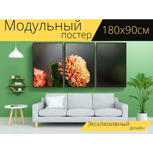 Модульный постер "Хризантема, цветок, завод" 180 x 90 см. для интерьера