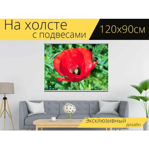 Картина на холсте "Мак, цветок, лепестки" с подвесами 120х90 см. для интерьера