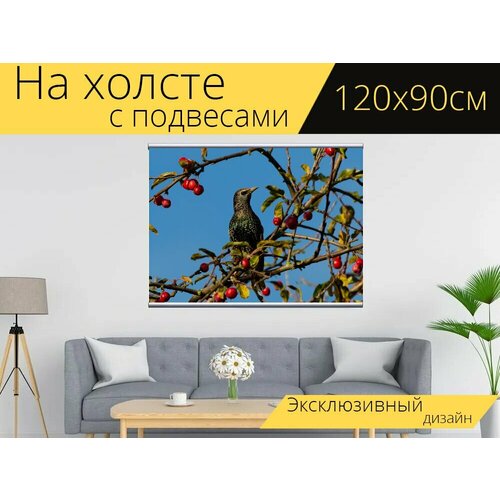 Картина на холсте "Птица, скворец, клюв" с подвесами 120х90 см. для интерьера