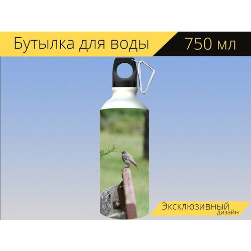 Бутылка фляга для воды "Скамейке в парке, птица, черный лес" 750 мл. с карабином и принтом