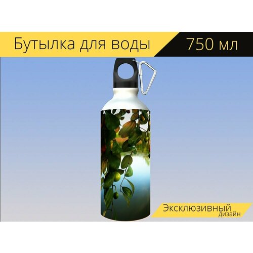 Бутылка фляга для воды "Фрукты, озеро, ананас" 750 мл. с карабином и принтом