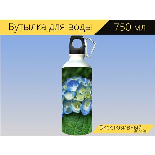 Бутылка фляга для воды "Гортензия, синий, цветок" 750 мл. с карабином и принтом