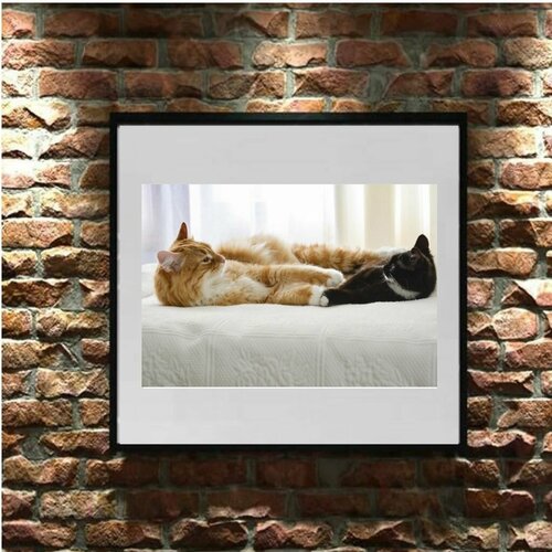 Постер "Черный и рыжий коты на кровати" Cool Eshe из коллекции "Природа", плакат А4