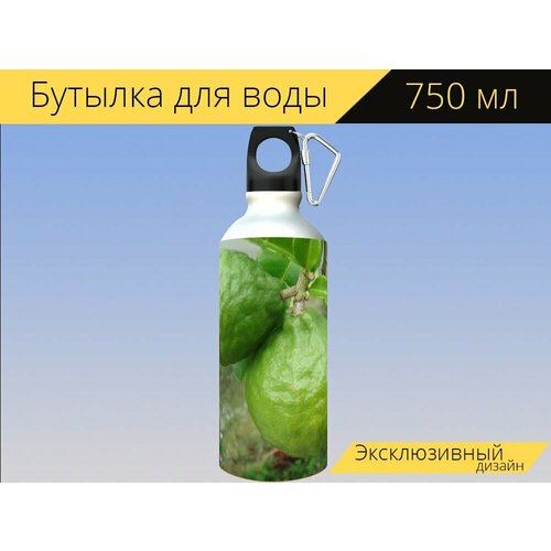 Бутылка фляга для воды "Лайм, цитрусовые, фрукты" 750 мл. с карабином и принтом