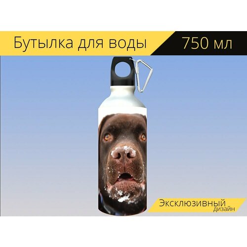 Бутылка фляга для воды "Лабрадор, браун, собака" 750 мл. с карабином и принтом