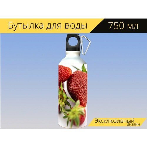 Бутылка фляга для воды "Клубника, фрукты, витамин" 750 мл. с карабином и принтом