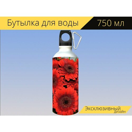 Бутылка фляга для воды "Гербера, красный, цветок" 750 мл. с карабином и принтом