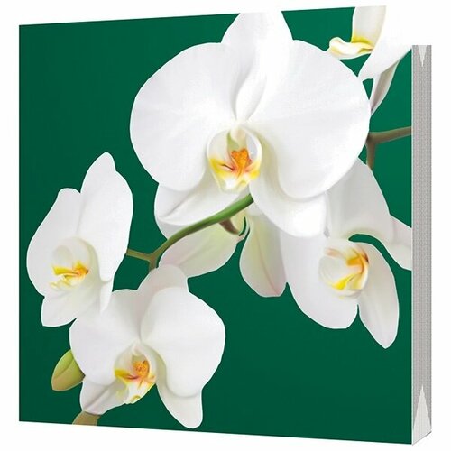 Салфетки бумажные BGREEN "Орхидеи", трехслойные, 33х33 см, 20 шт