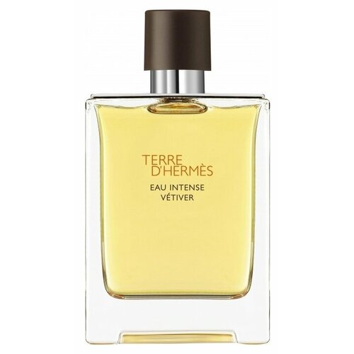 Hermes Terre D'Hermes Eau Intense Vetiver парфюмерная вода 5 мл