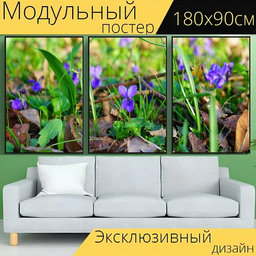 Модульный постер "Лесные фиалки, фиолетовый, цветок" 180 x 90 см. для интерьера