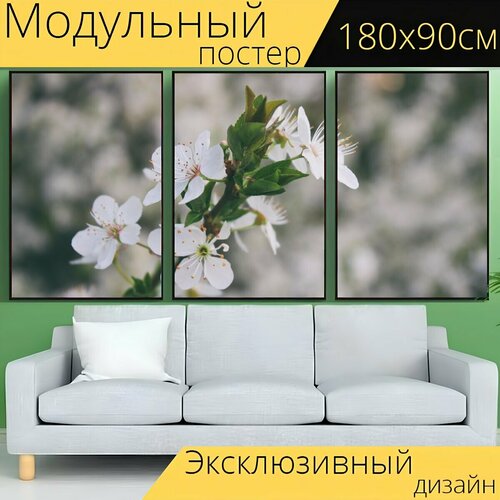 Модульный постер "Цветок, цветы, цветущие цветы" 180 x 90 см. для интерьера