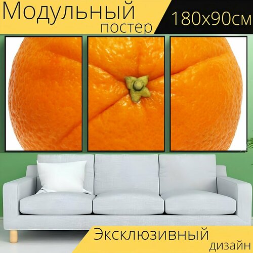 Модульный постер "Апельсин, фрукты, оранжевый" 180 x 90 см. для интерьера