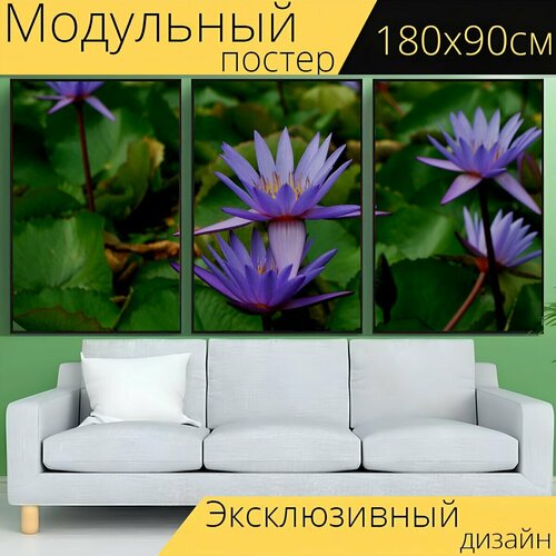 Модульный постер "Фиолетовый, водяная лилия, природа" 180 x 90 см. для интерьера