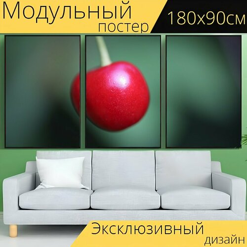 Модульный постер "Кислая вишня, фрукты, свежий" 180 x 90 см. для интерьера