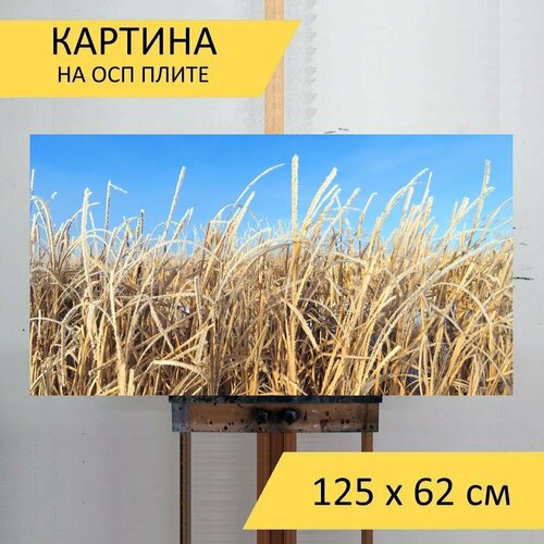 Картина на ОСП 125х62 см. "Прерия, трава, небо" горизонтальная, для интерьера, с креплениями