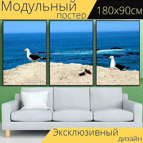 Модульный постер "Чайки, морской берег, море" 180 x 90 см. для интерьера