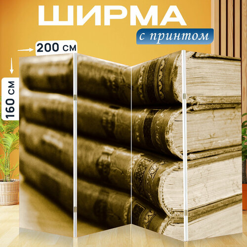 Ширма перегородка с принтом "Книги, библиотека, знание" на холсте - 200x160 см. для зонирования, раскладная