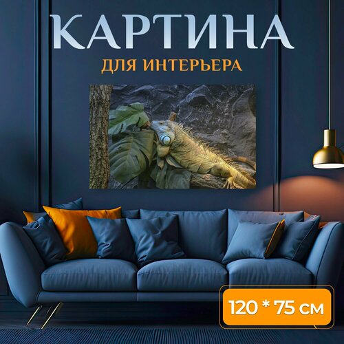 Картина на холсте "Ящерица, зоопарк, рептилия" на подрамнике 120х75 см. для интерьера
