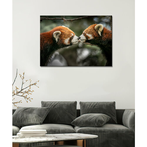 Картина - Красная панда, панда красная, панда, рыжая панда (10) 60х80