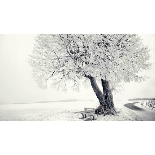 Картина на холсте 60x110 Альянс Лес "White snow tree bench" на подрамнике / интерьер/ декор
