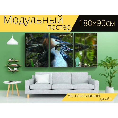 Модульный постер "Большая поганка, водоплавающая птица, животное" 180 x 90 см. для интерьера