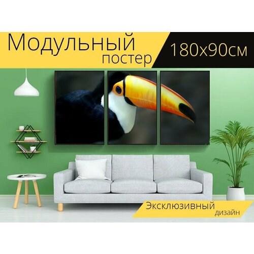 Модульный постер "Тукан, птица" 180 x 90 см. для интерьера
