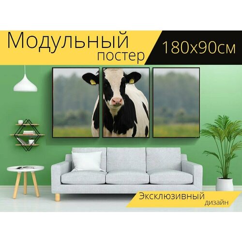 Модульный постер "Корова, говядина, крупный рогатый скот" 180 x 90 см. для интерьера
