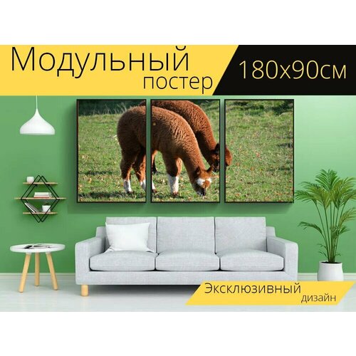 Модульный постер "Лама, альпака, верблюд" 180 x 90 см. для интерьера