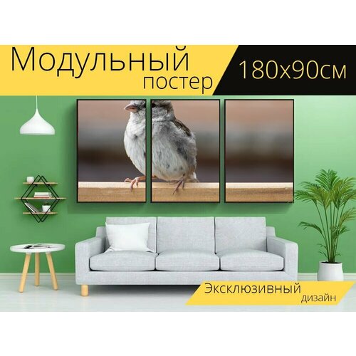 Модульный постер "Воробей, птица, сперлинг" 180 x 90 см. для интерьера