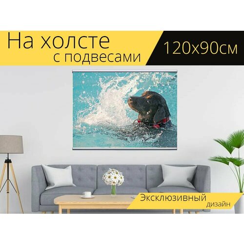 Картина на холсте "Собака, плавание, бассейн" с подвесами 120х90 см. для интерьера