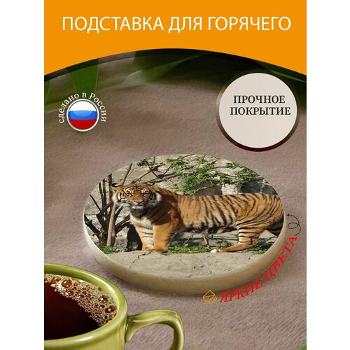 Подставка под горячее "Тигр, животное, сафари" 10 см. из блого мрамора