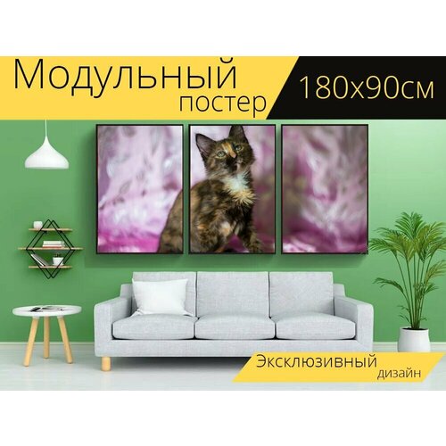 Модульный постер "Котенок, черепаховый кот, черепахи" 180 x 90 см. для интерьера