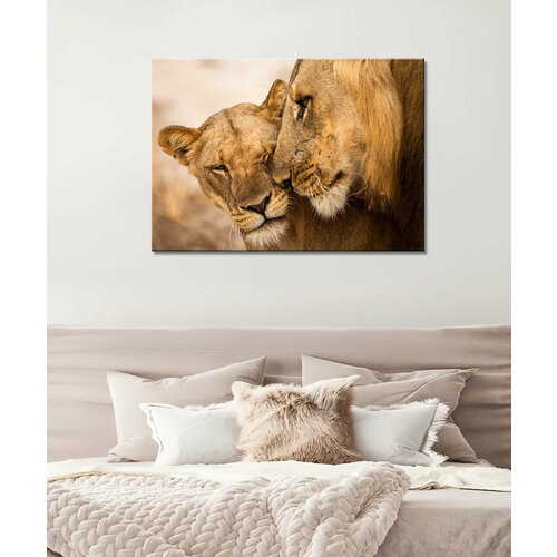 Картина - Лев, лев царь зверей, лев и львица, пара львов, львы любовь (44) 20х30