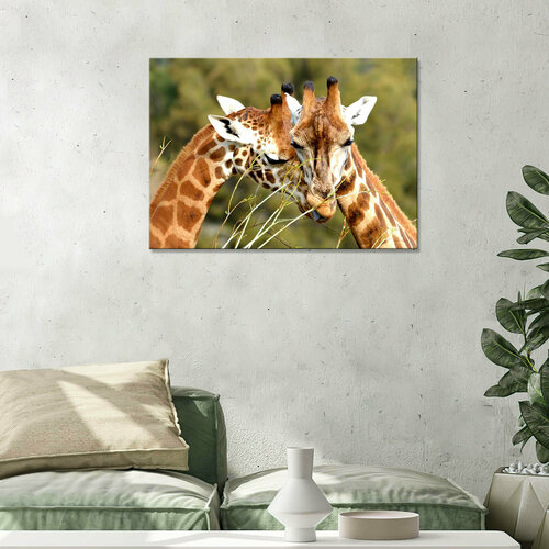 Интерьерная картина на холсте - влюблённые жирафы 50х70