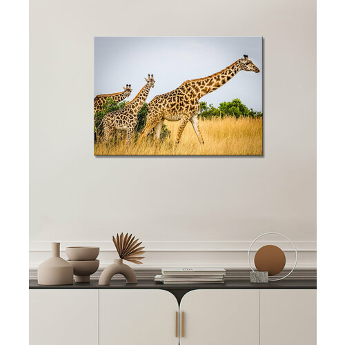 Картина на холсте - Жираф Африка, закат природа (1) 40х60
