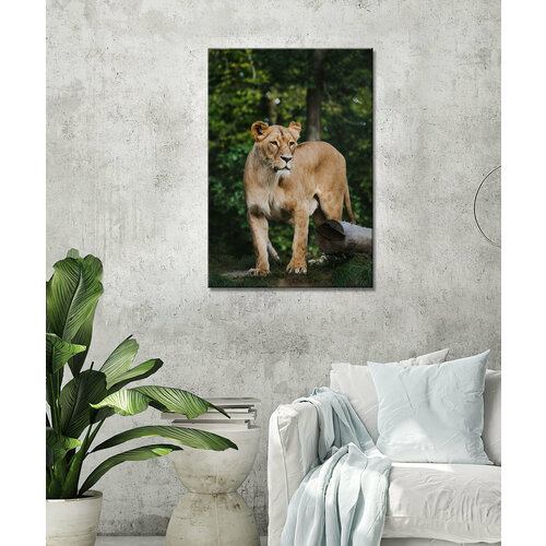 Картина - Лев, львица, красивая львица в лесу (52) 20х30