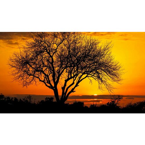 Картина на холсте 60x110 Альянс Лес "Morning Kenya red sky" на подрамнике / интерьер/ декор