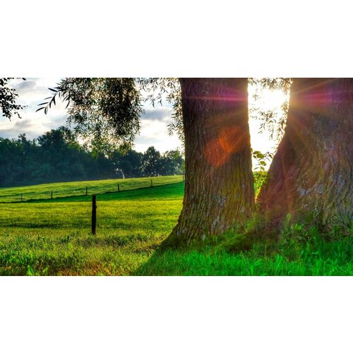Картина на холсте 60x110 Альянс Лес "Природа утро солнце дерево" на подрамнике / интерьер/ декор