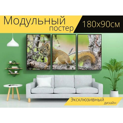 Модульный постер "Белка, лес, аляска" 180 x 90 см. для интерьера